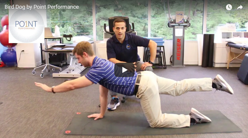 Bird Dog: Video - Point Performance