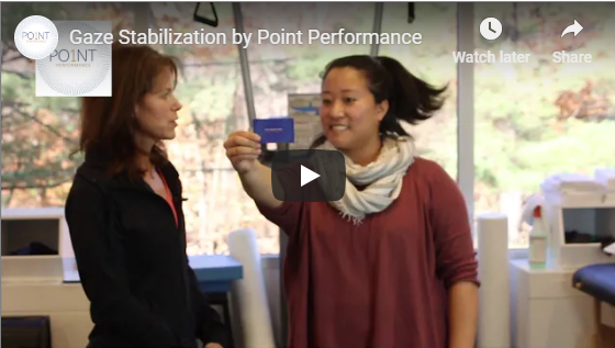 Gaze Stabilization: Video - Point Performance